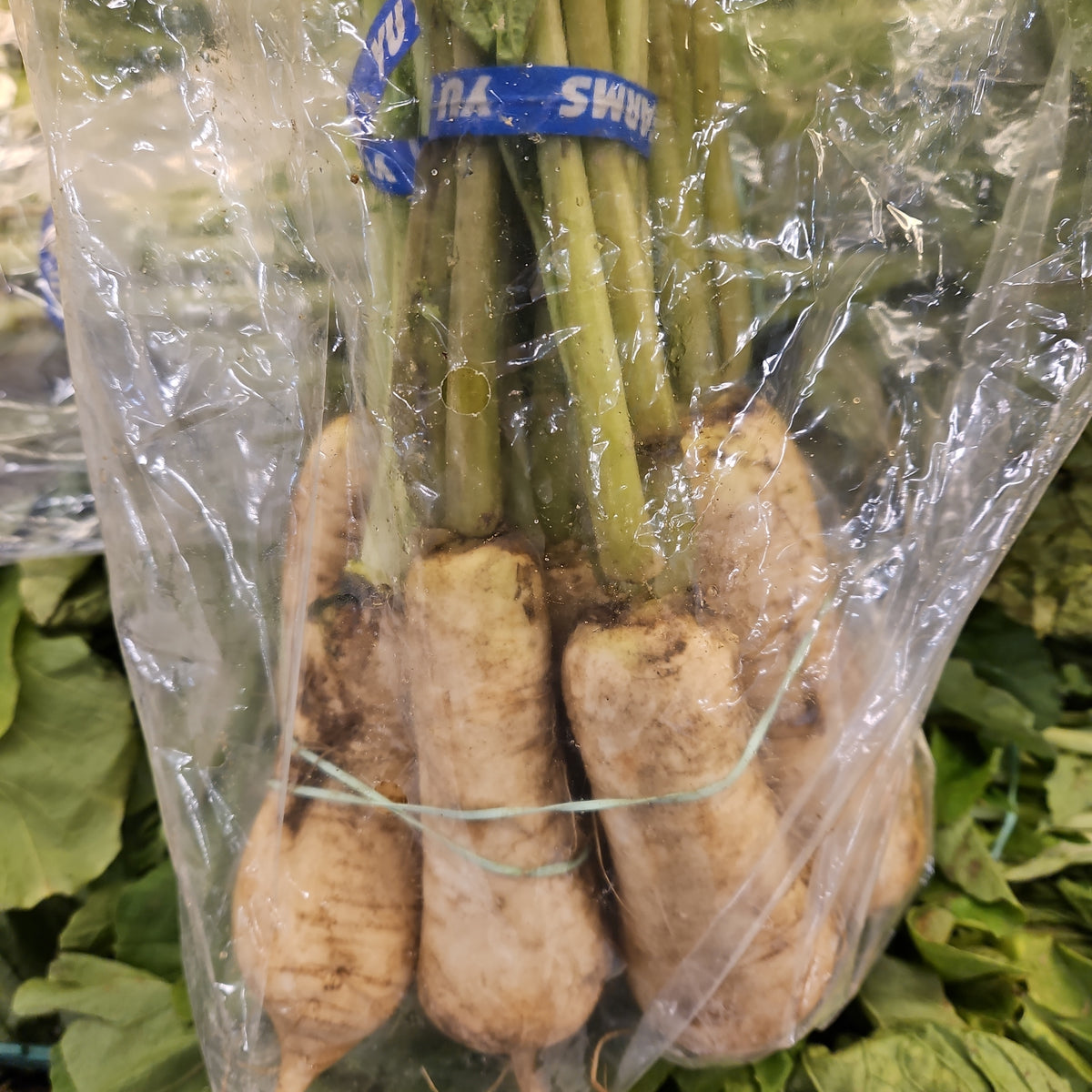 [Local Only] Young Radish bag(3bunch), 총각무 BAG(3bunch) – MEGAMART ...