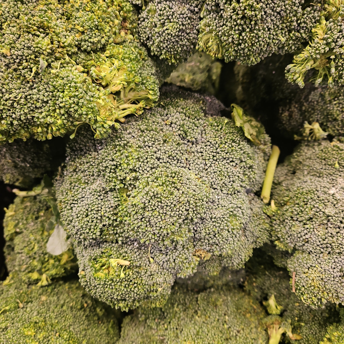[Mega Fresh] BROCCOLI CROWN lb, 브로콜리 크라운 lb – MEGAMART | MegaKfood
