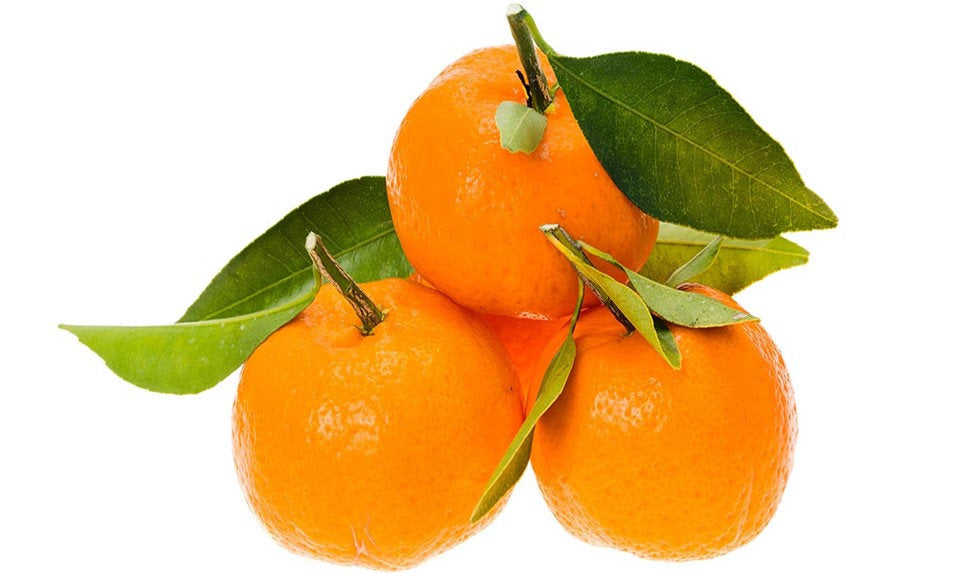 SATSUMA MANDARINESTEMLEAF LB , SATSUMA MANDARINE STEM LEAF LB ...