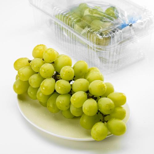 [Local Only]SHINE GREEN GRPAE (3LB) , 샤인 청포도 PK(3LB) – MEGAMART | MegaKfood