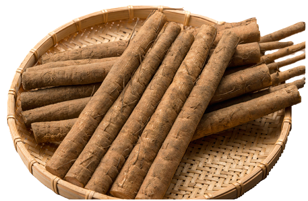 [Local Only]Gobo BOX 22lb, 우엉 박스, 22lb – MEGAMART | MegaKfood