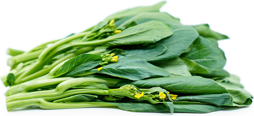 YU CHOY TIP lb , 유쵸이 팁 , LB – MEGAMART | MegaKfood