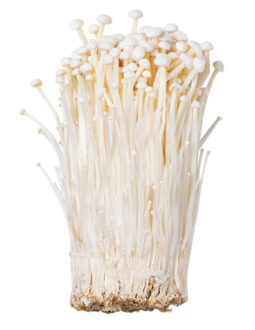 [Local Only] ENOKI MUSHROOM EA , 팽이버섯 EA – MEGAMART | MegaKfood