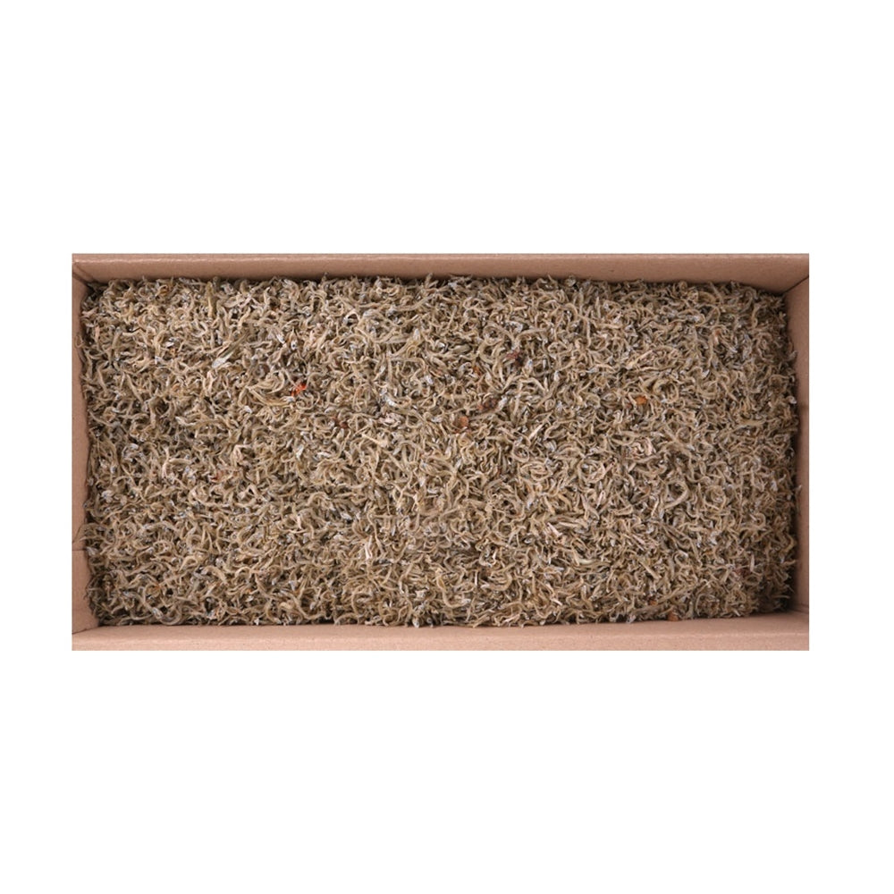 Dried Anchovy Small Box 3.3lb, 한국산 지리멸치 박스 1.5kg – MEGAMART | MegaKfood